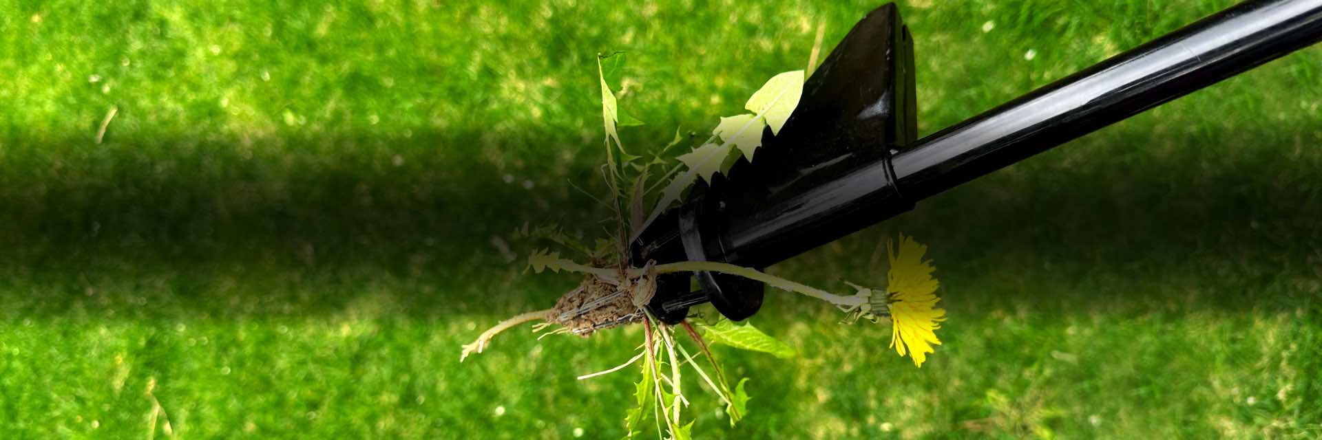 Yard & Garden Collection| Backyard Tools | Walden Backyards
