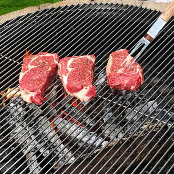 Stainless Steel Fire Pit BBQ Grilling Grate | Walden Backyards