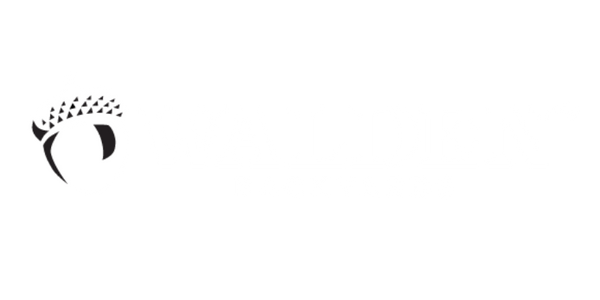 Walden Legacy Series™ Complete Fire Pit Insert Set Walden Backyards
